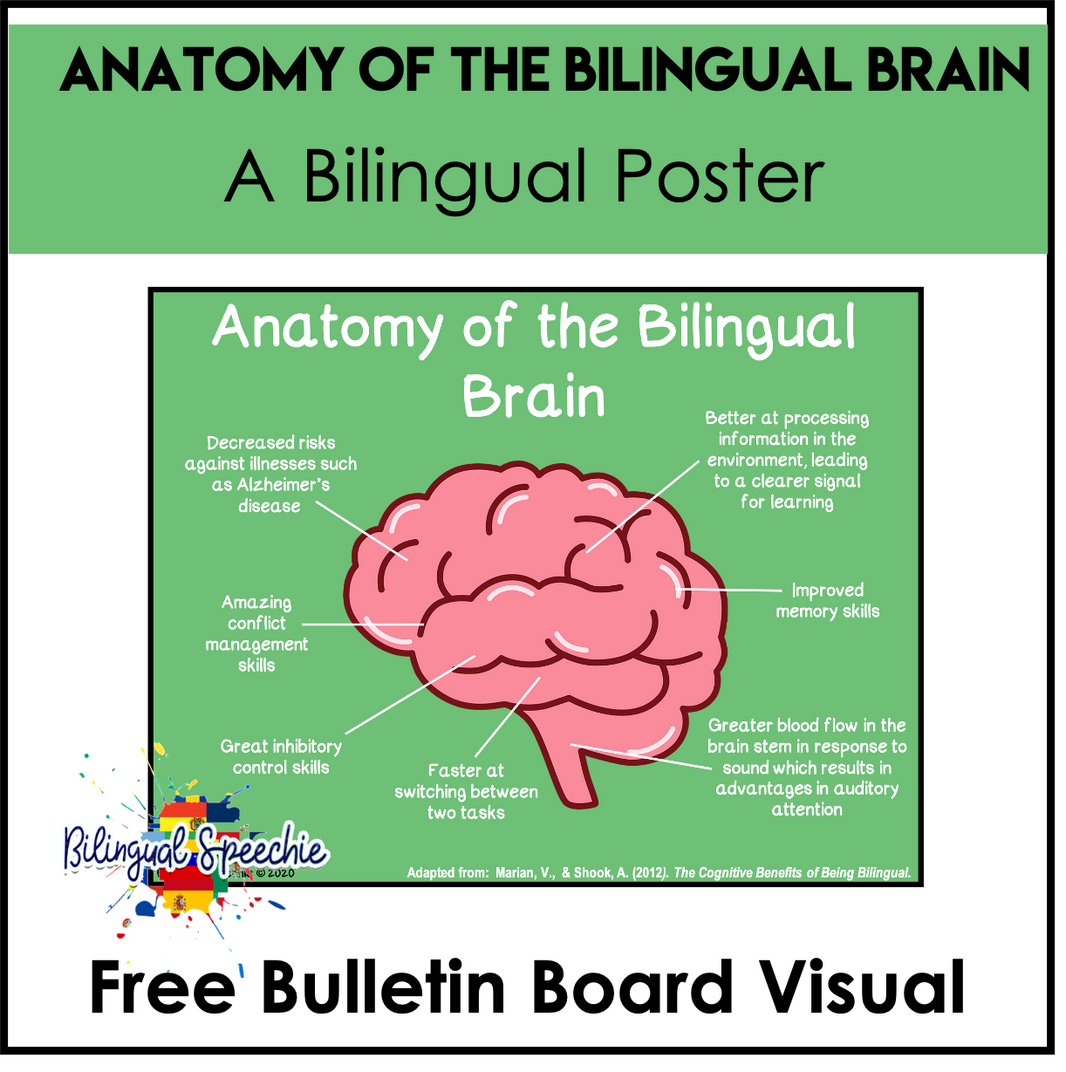 Posters – Bilingual Speechie